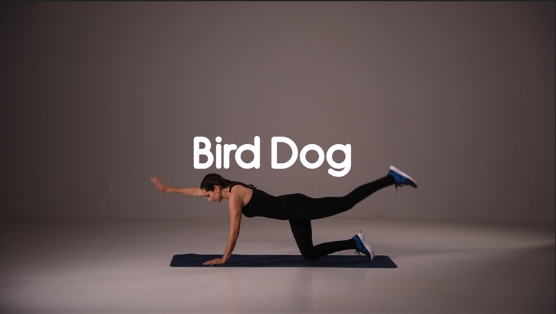Bird Dog Pose