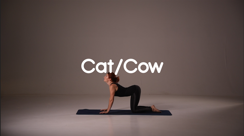 How to do Cat and Cow Video - Yoga Poses – Group HIIT