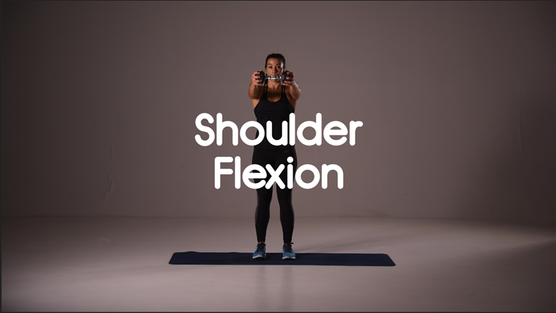 Flexion And Extension Of Shoulder